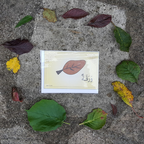 Arabic Seeds activities by Multicultural Motherhood – Arabic Seeds