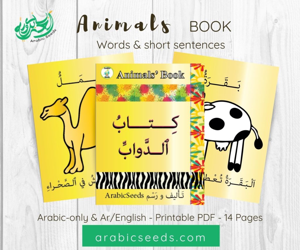 Animals & little Stories – Arabic Seeds Membership