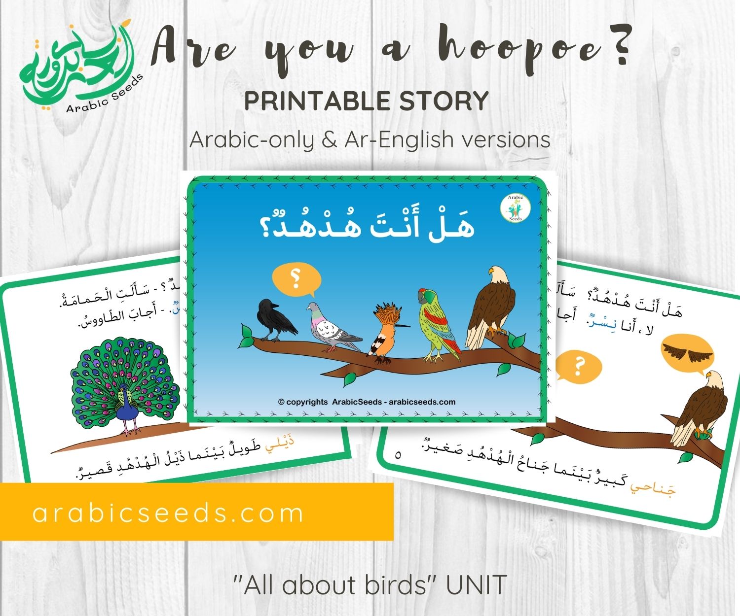 Printable books & stories – Arabic Seeds Membership