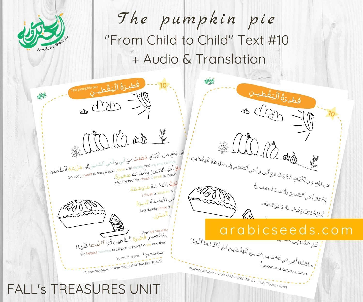 Fall Season Treasures – Arabic Seeds Membership