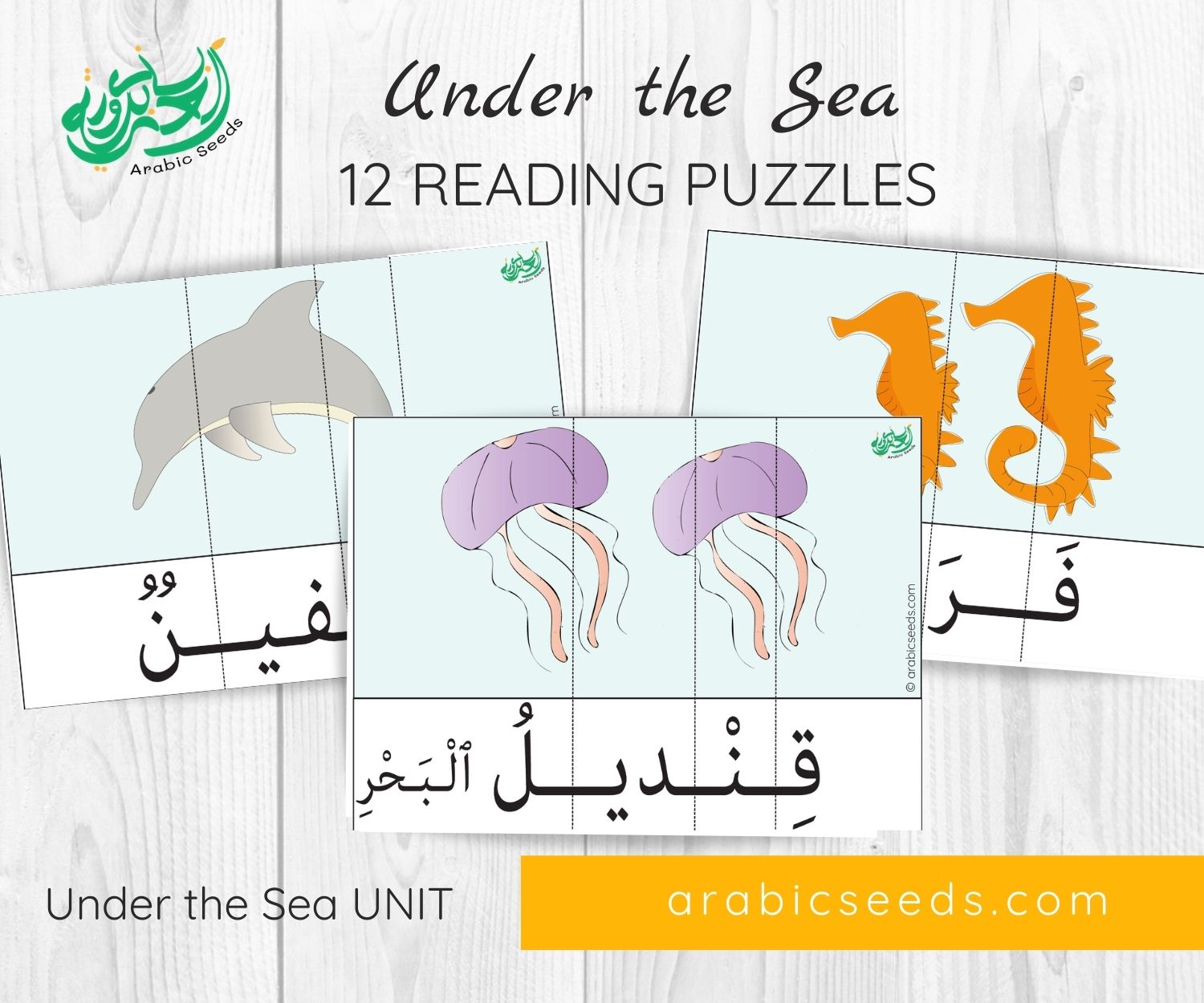 Crosswords & Reading puzzles – Arabic Seeds Membership