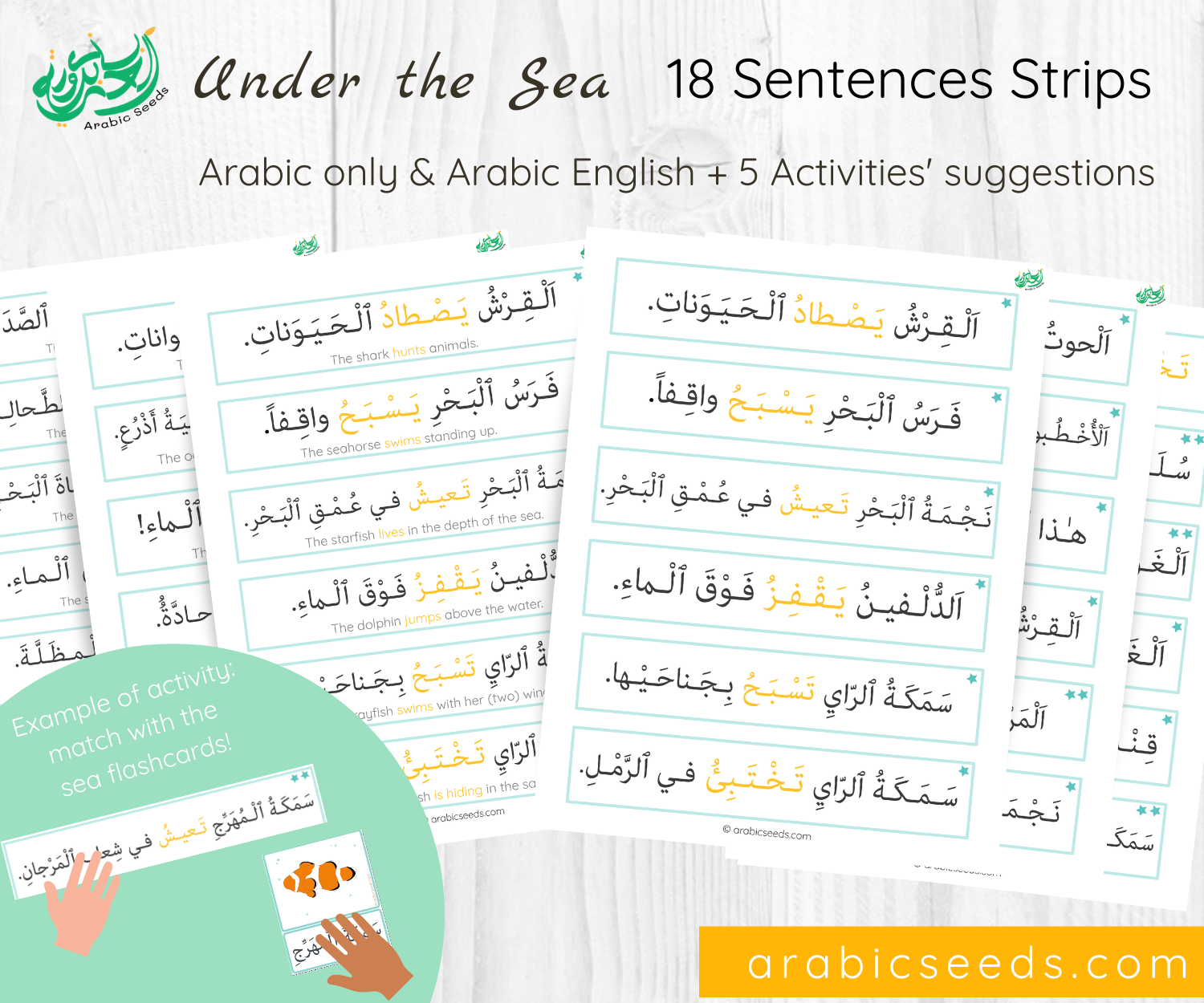Arabic under the sea sentences strips printable – Arabic Seeds themed ...